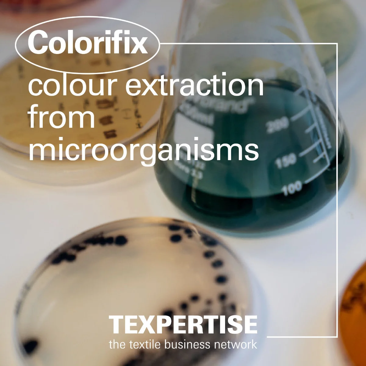 Techtextil & Texprocess - an powerful pair