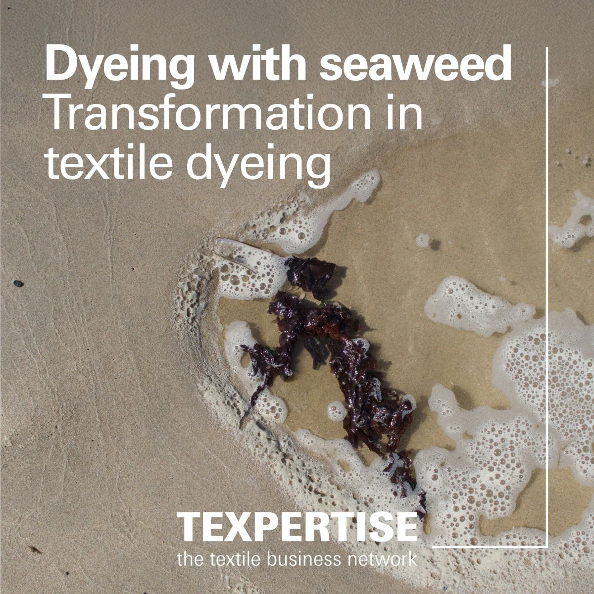 Techtextil & Texprocess - ein starkes Duo